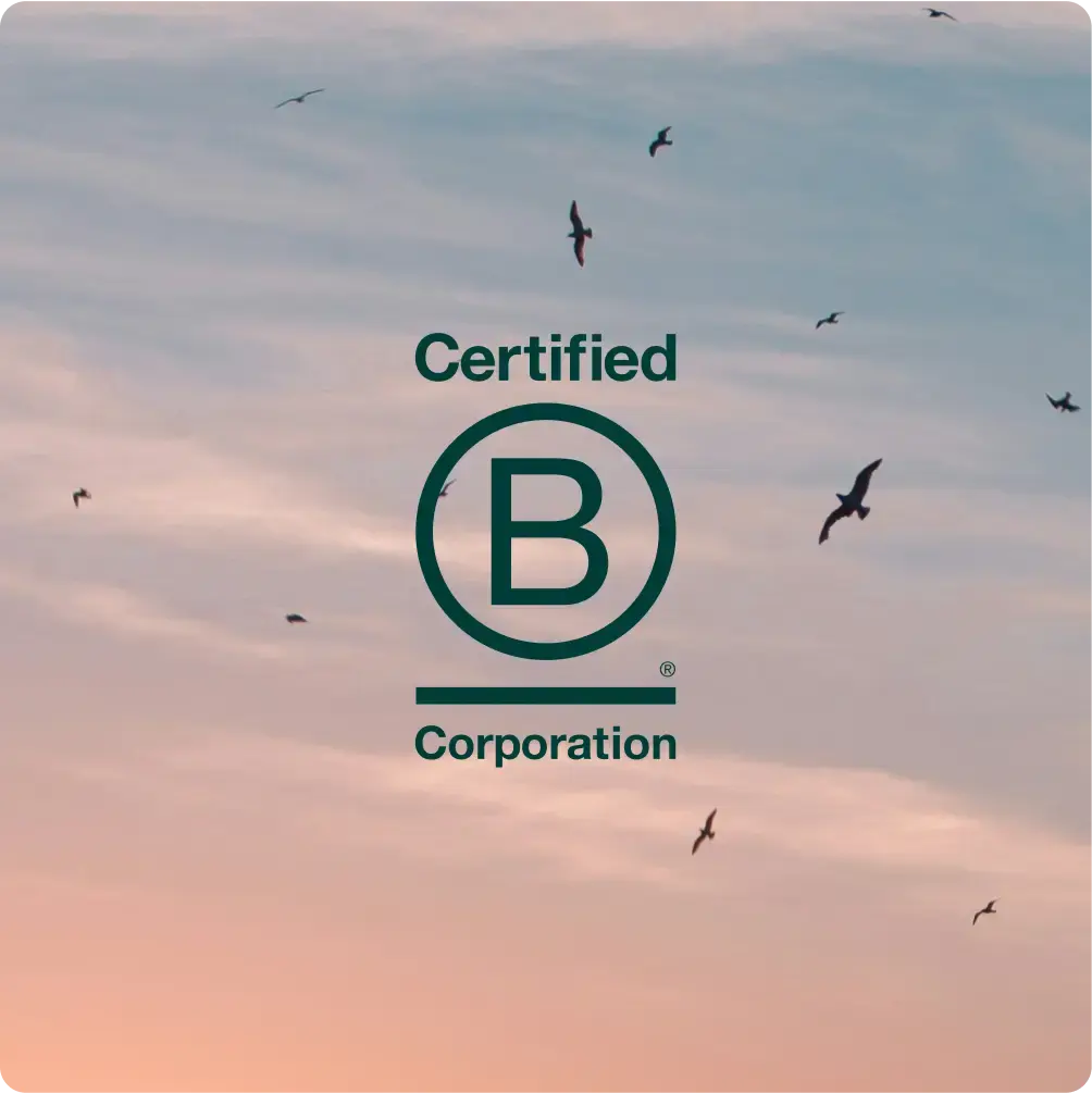 Goodwings — About us